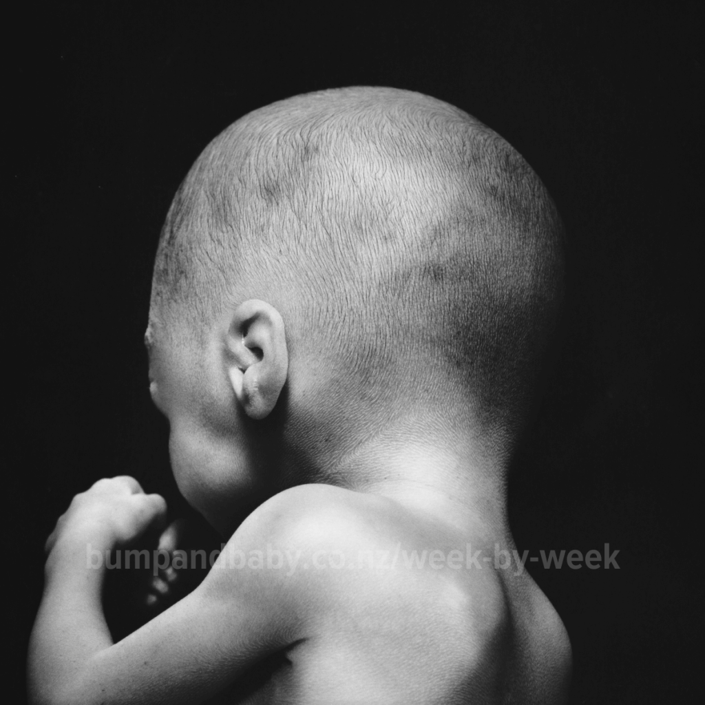 Week 23 - BUMP&baby
