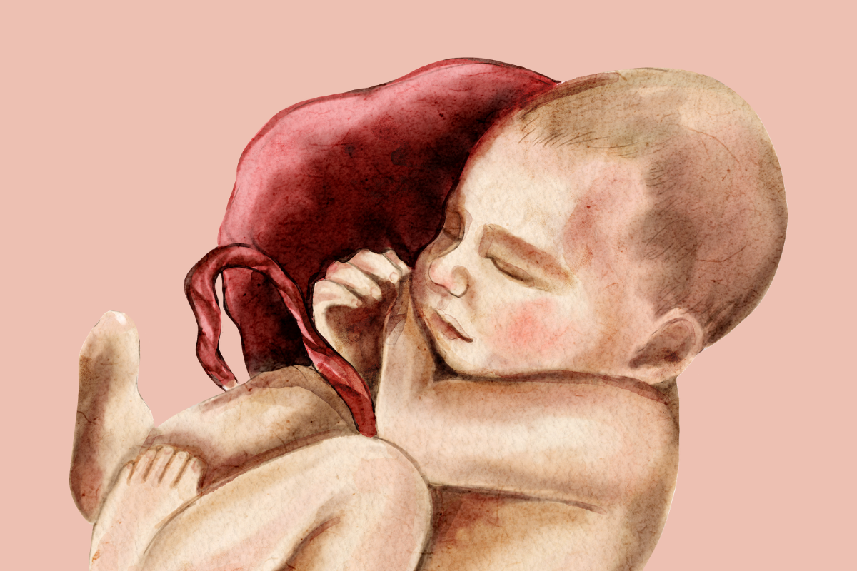What we can learn from the placenta (if we stop throwing it away ...